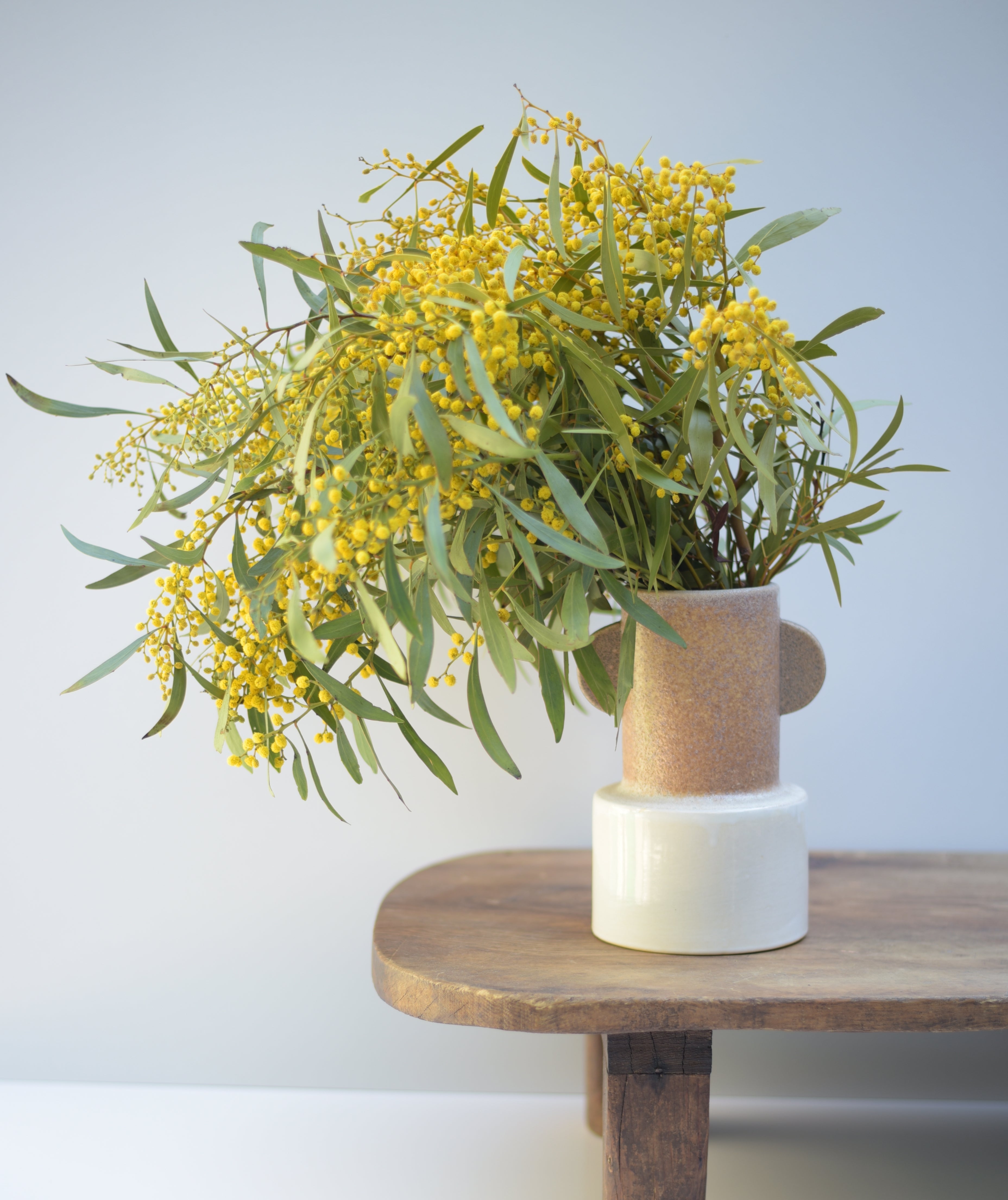 Wattle Day – Gro Urban Oasis