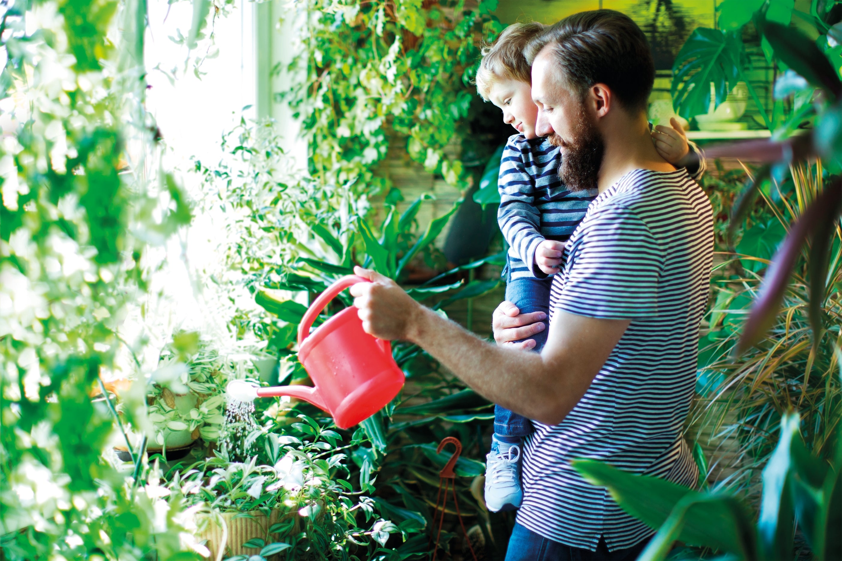 Dad Projects – Gro Urban Oasis