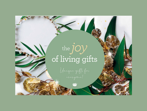 Gifting Ideas from GRO Urban Oasis – Gro Urban Oasis