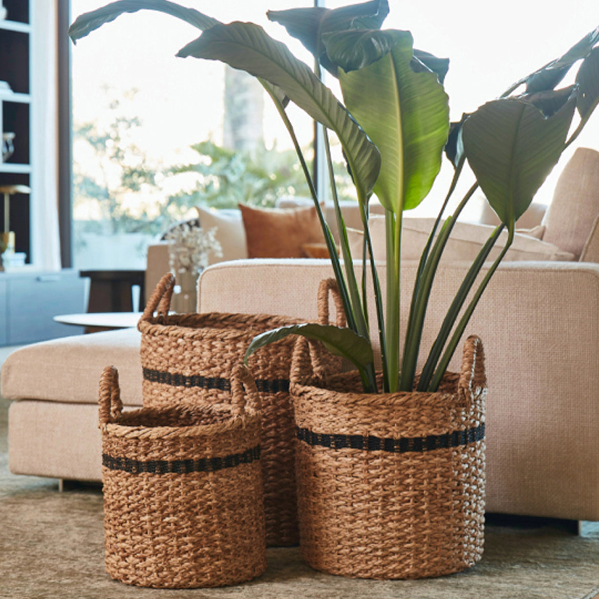 Storage Baskets for Stylish Organisation ⭐️