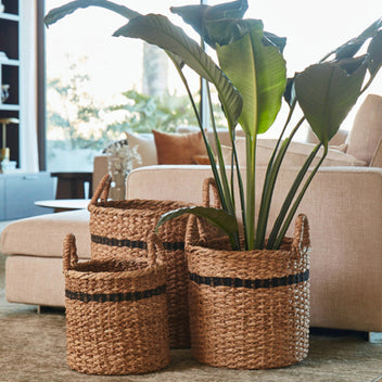 Locations – Gro Urban Oasis