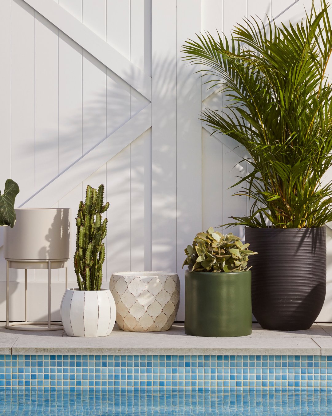 Shop Pots & Planters – Gro Urban Oasis