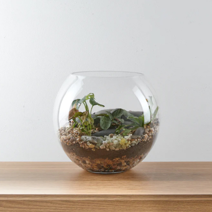 Terrariums – Gro Urban Oasis