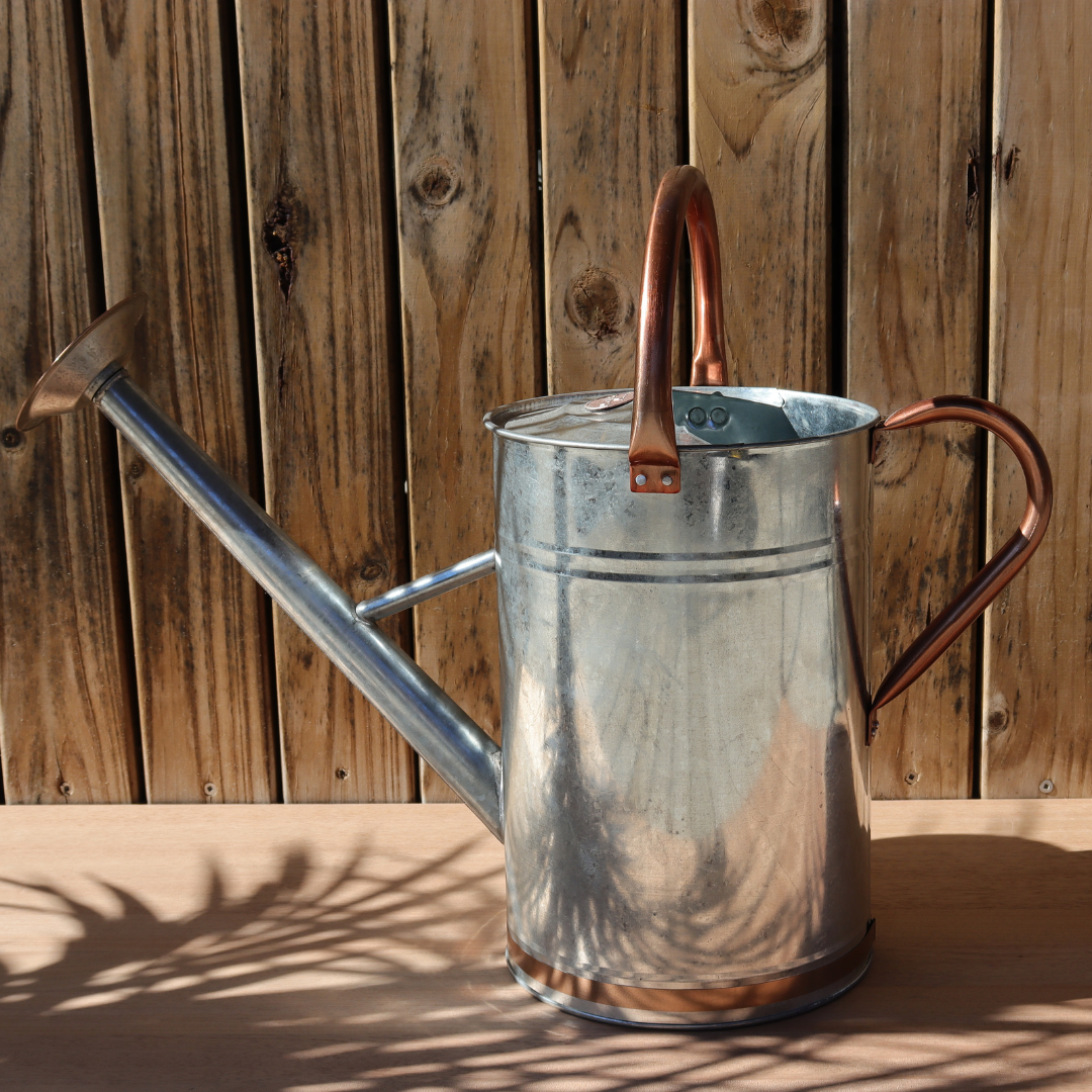 Watering Essentials for Indoor & Outdoor Use
