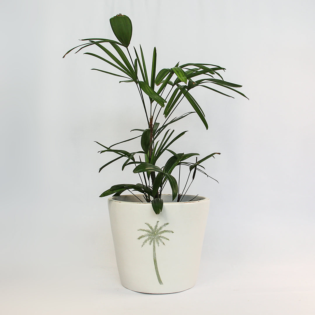 Urban Oasis Isla Indoor Plant Pot - Thyme - 300mm
