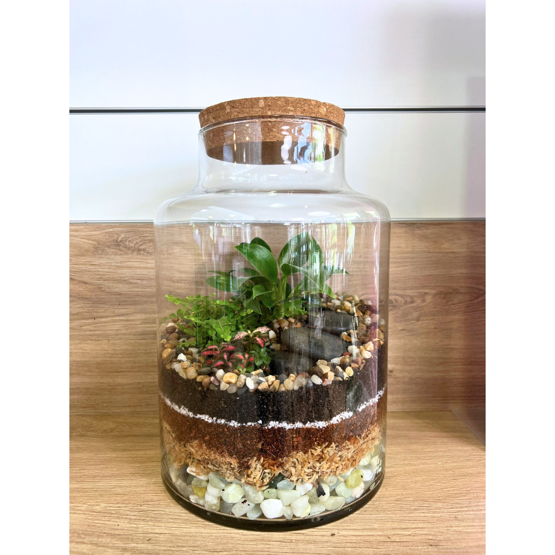 Urban Oasis Terrarium with Cork Lid – Gro Urban Oasis